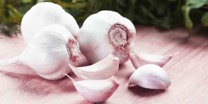 7 Reasons why Raw Garlic is good for you - Tribeca Care